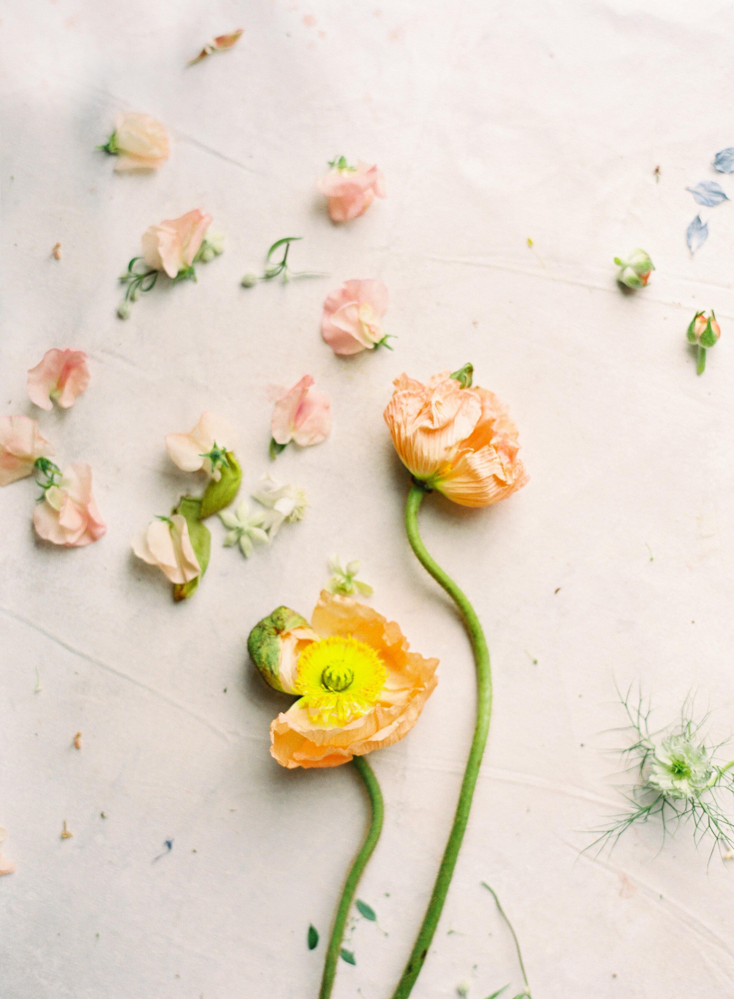 TFS Guide: Spring Blooms – The Floral Society