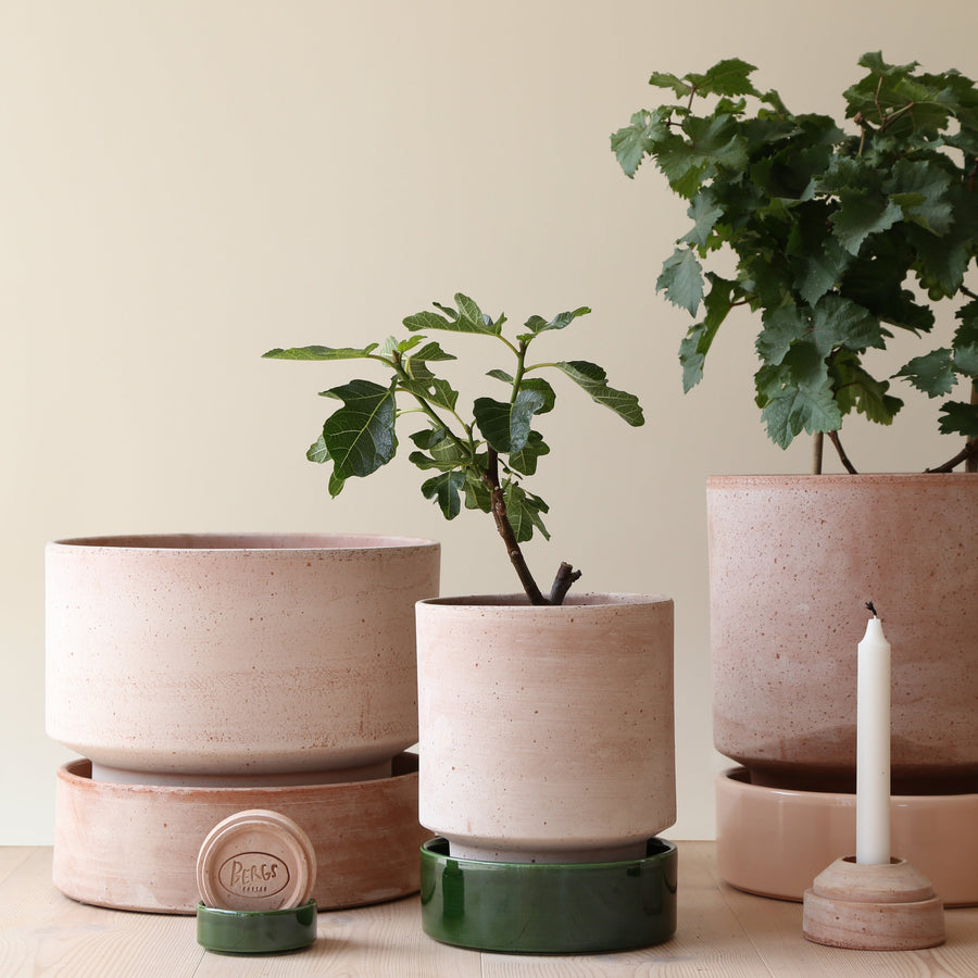 Hoff Collection Pot & Saucer, Rosa – The Floral Society