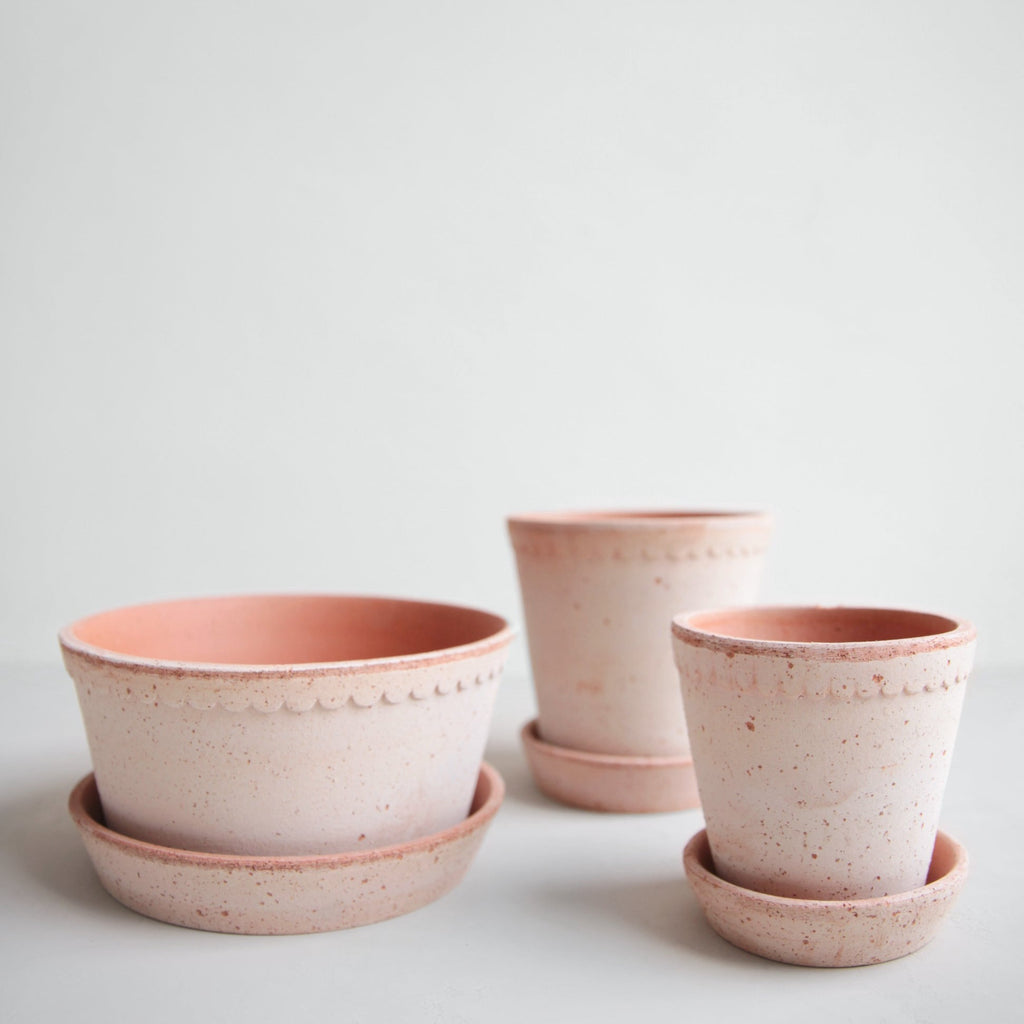 Helena Pot & Saucer, Rosa – The Floral Society