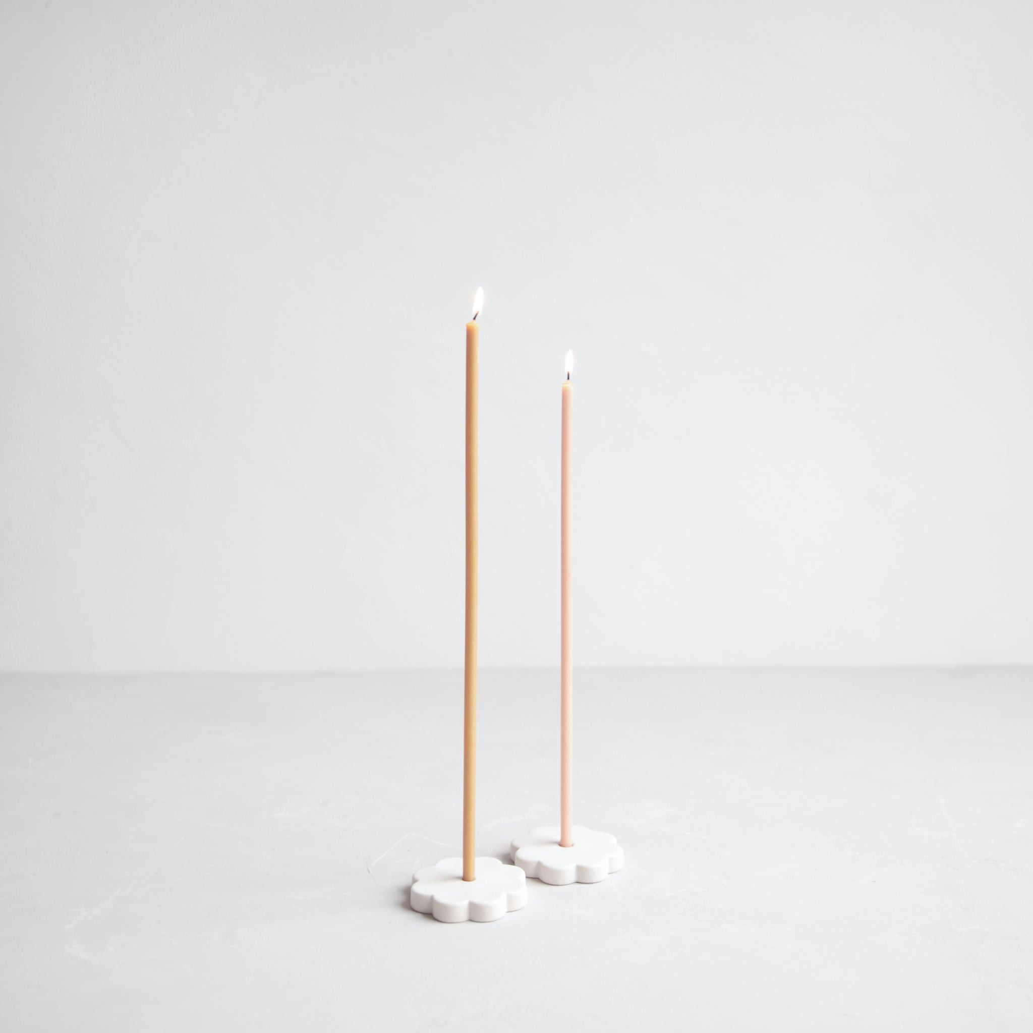 Original Long Stem Candles – The Floral Society