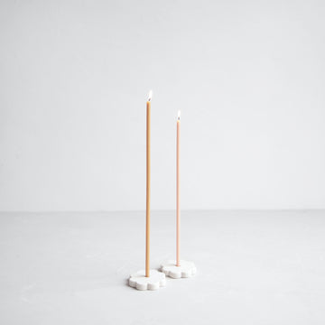 Original Long Stem Candles – The Floral Society