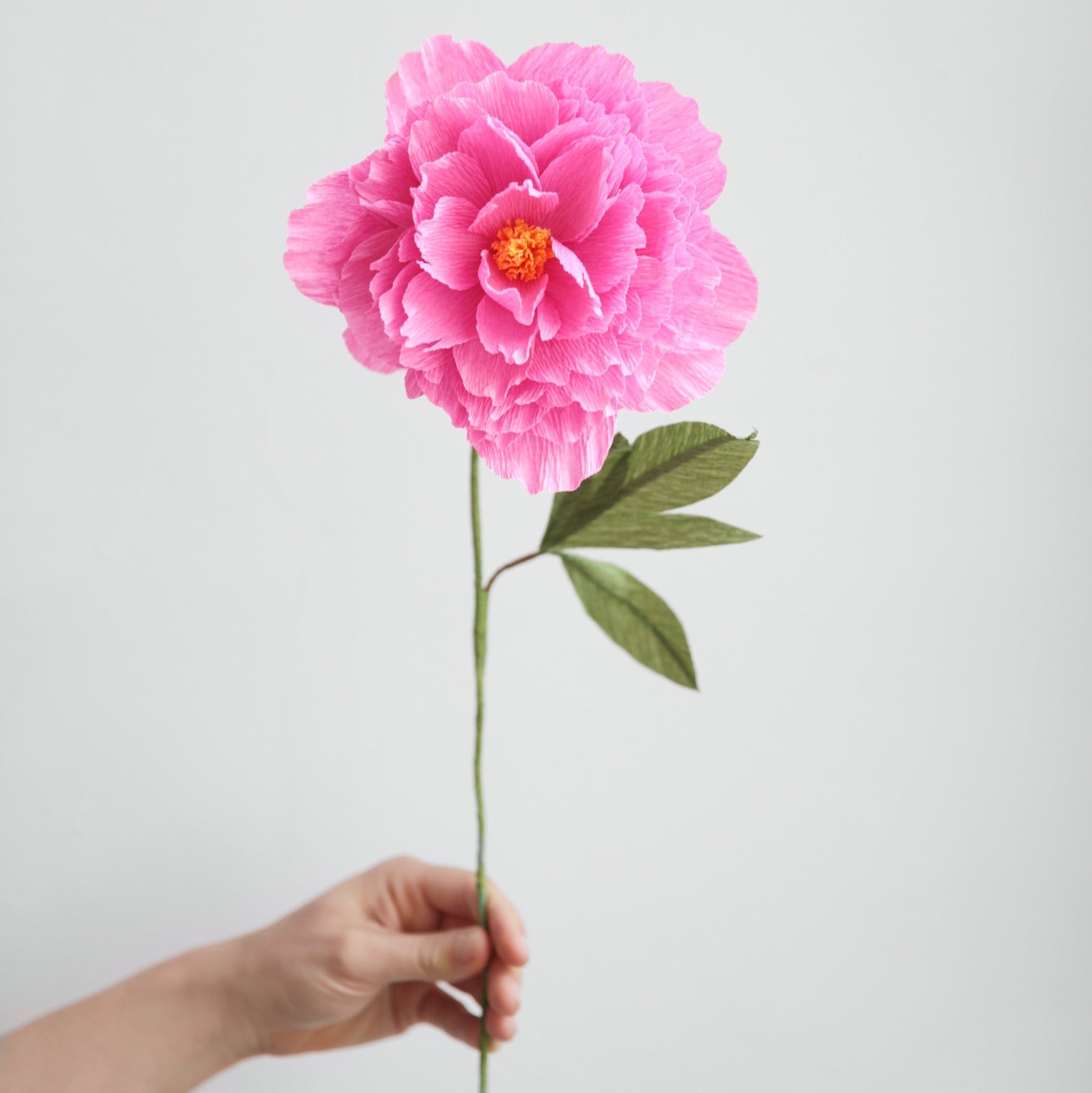 The Floral Society - Handmade Collection