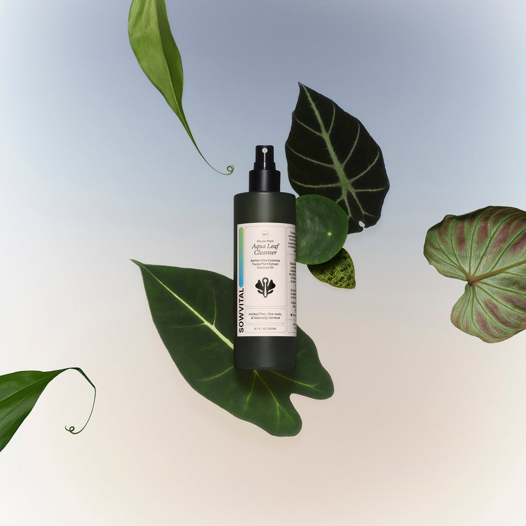 SowVital Aqua Leaf Cleanser 200ml – The Floral Society